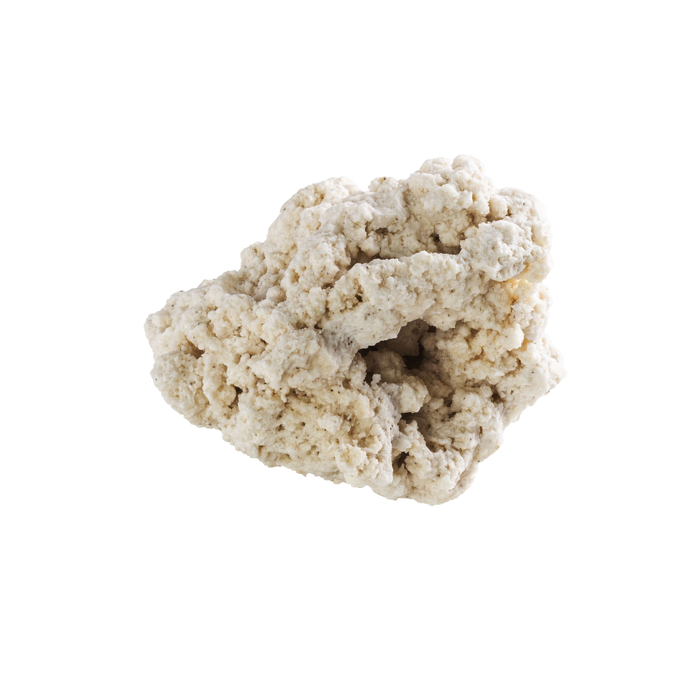 myReef-Rocks natürliches Aragonitgestein 20 kg | AqZeNo - Aquaristik ...